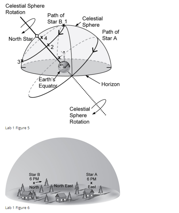 Solved Phoenix, Unned Lab 1 Figure 3 - Click Image to | Chegg.com