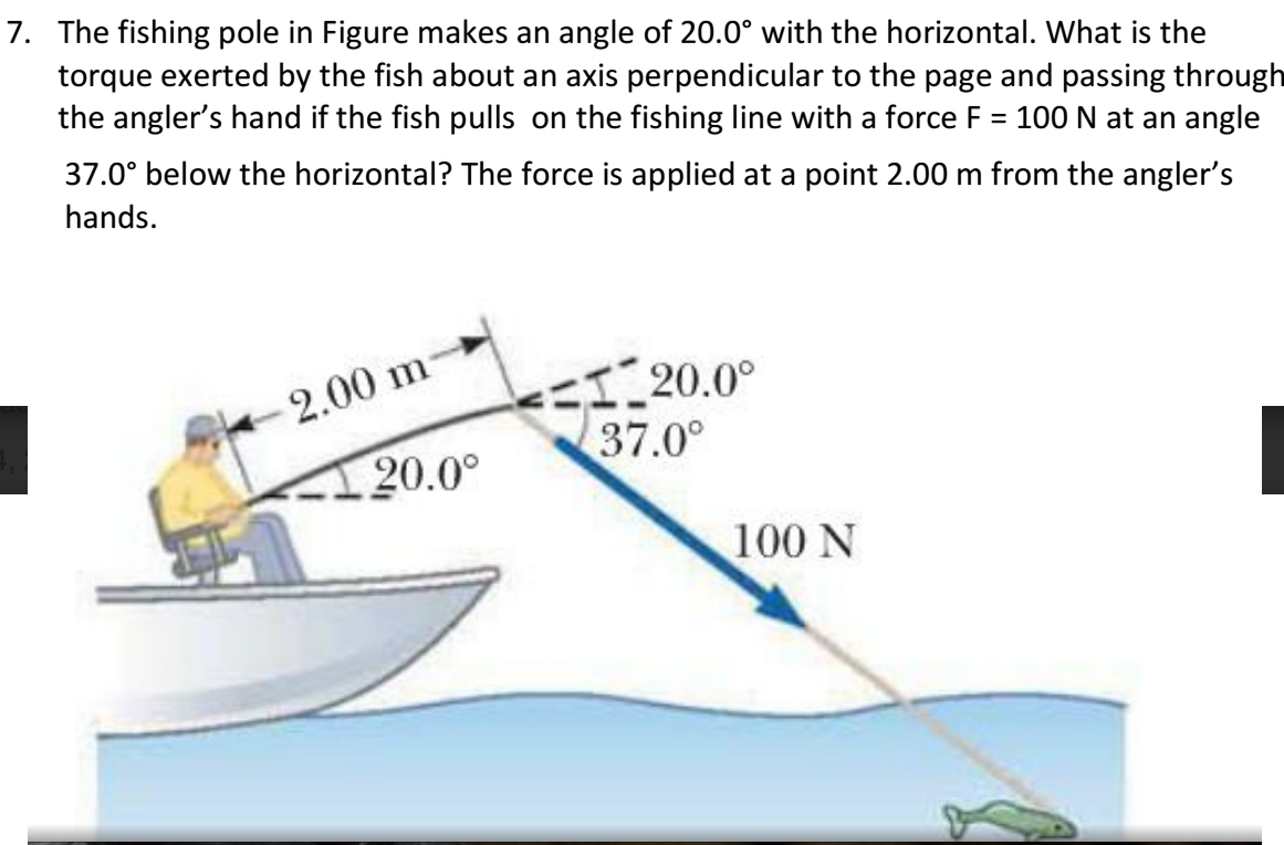 Solved The fishing pole in Figure makes an angle of 20.0° | Chegg.com