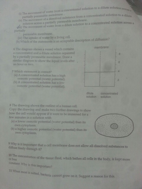 Solved 4 How substances get in and out of cells 1 Containers | Chegg.com