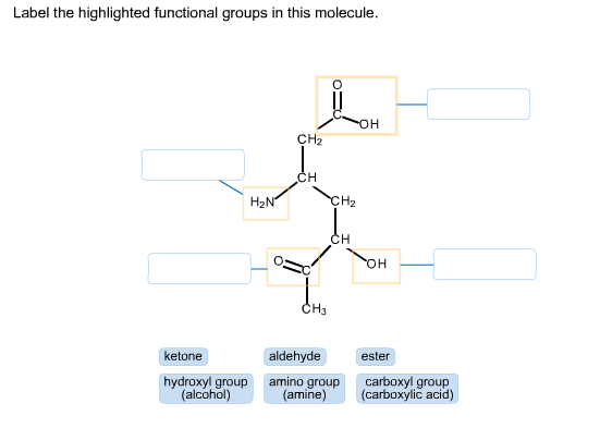 Solved Label the highlighted functional groups in this | Chegg.com