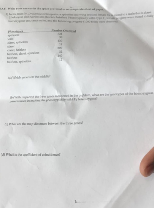 Solved SAY. Write your answer in the space provided or on a | Chegg.com