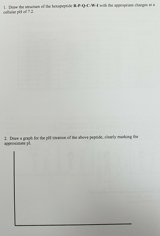 Solved 1. Draw the structure of the hexapeptide R-P-Q-C-W-I | Chegg.com