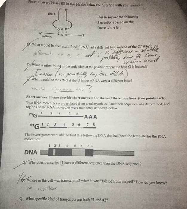 Solved Short answer. Please fill in the blanks below the | Chegg.com