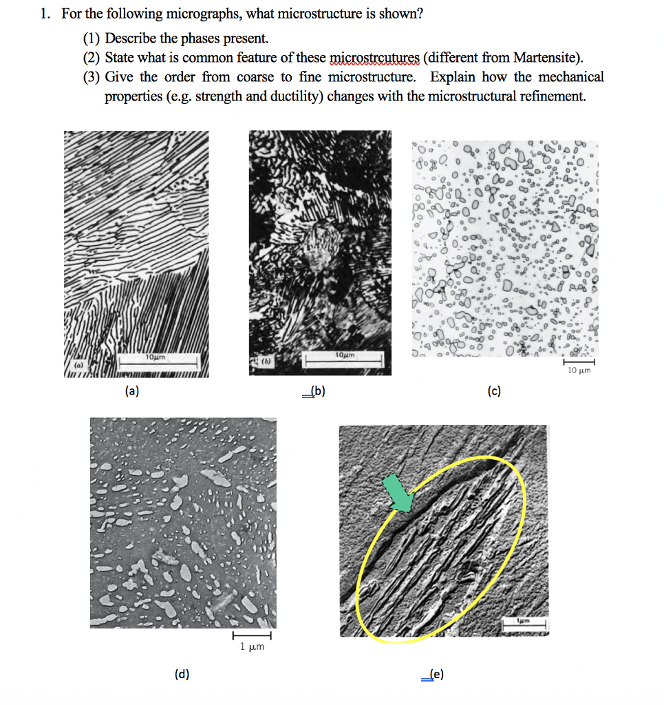 Solved 1. For the following micrographs, what microstructure | Chegg.com Solved 1. For the following micrographs, what microstructure | Chegg.com