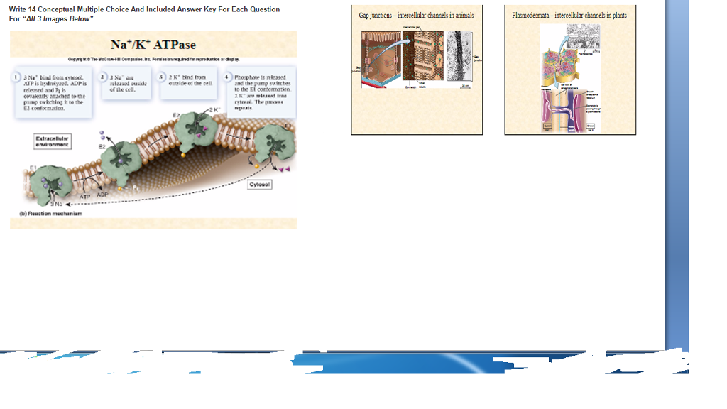 Solved Note: Write 14 Conceptual Multiple Choice And | Chegg.com