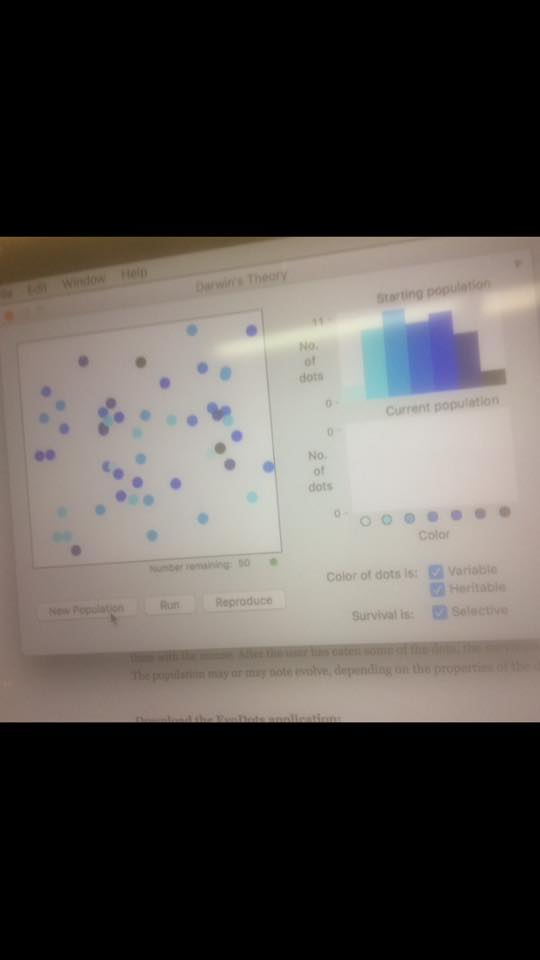 Solved: Note: (Use A Diagram To Help Respond For Questions... | Chegg.com