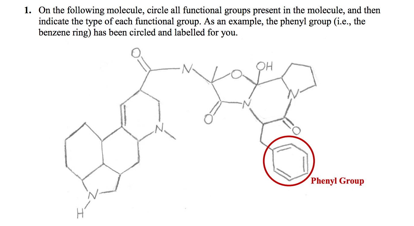 Phenyl Functional Group