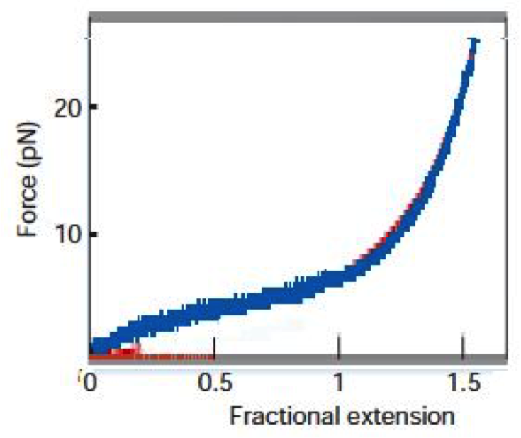 Solved In the figure is shown the force needed to stretch an | Chegg.com