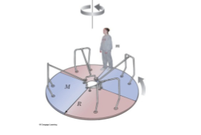 Solved Merry-go-round modeled as a solid disk of mass | Chegg.com
