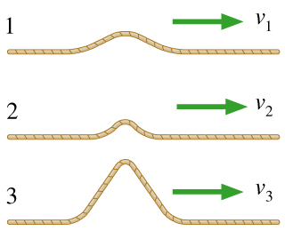 Solved The wave pulses shown in the figure travel along the | Chegg.com