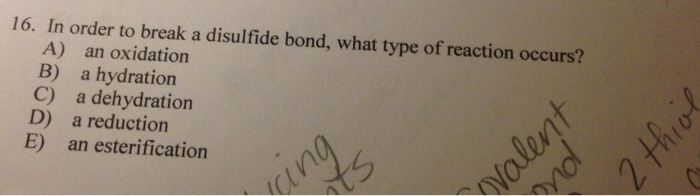 Solved In order to break a disulfide bond, what type of | Chegg.com