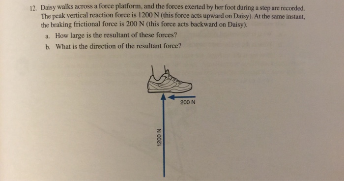 Solved Daisy walks across a force platform, and the forces | Chegg.com