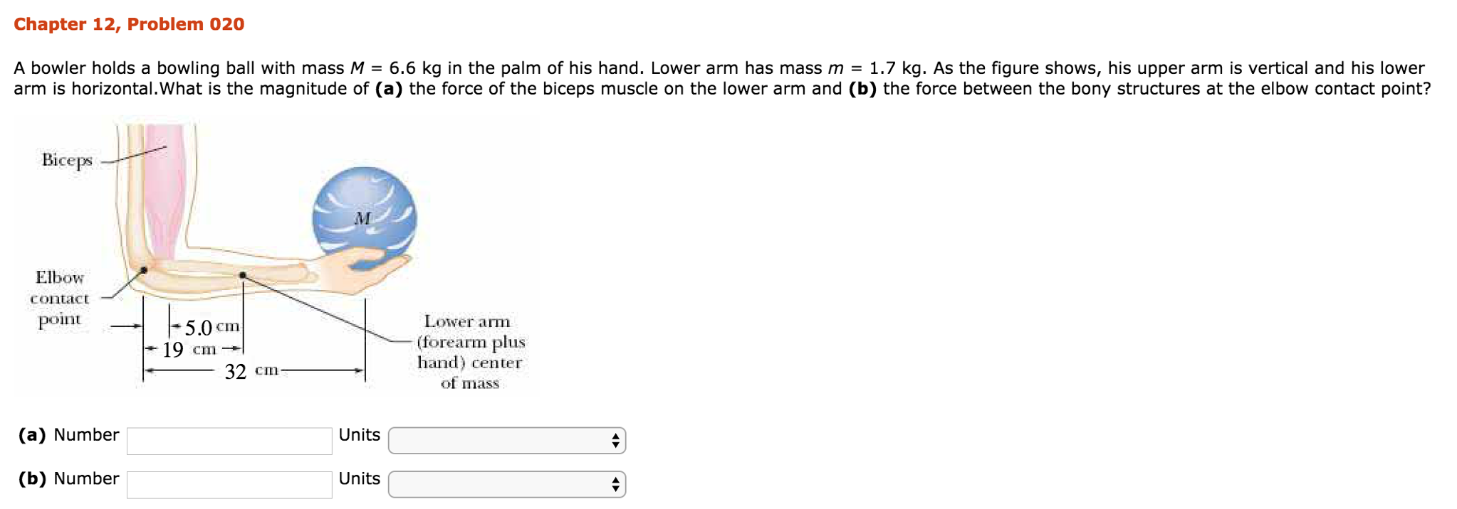 Solved A bowler holds a bowling ball with mass M = 6.6 kg in | Chegg.com Solved A bowler holds a bowling ball with mass M = 6.6 kg in | Chegg.com