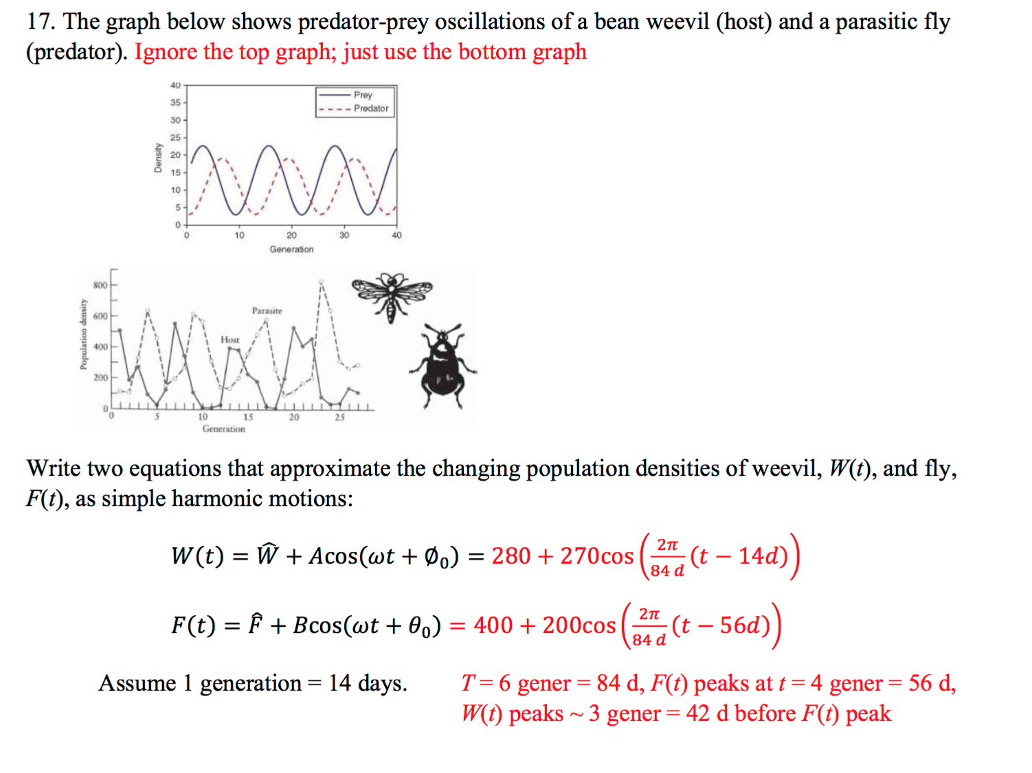 Solved The graph below shows predator-prey oscillations of a | Chegg.com