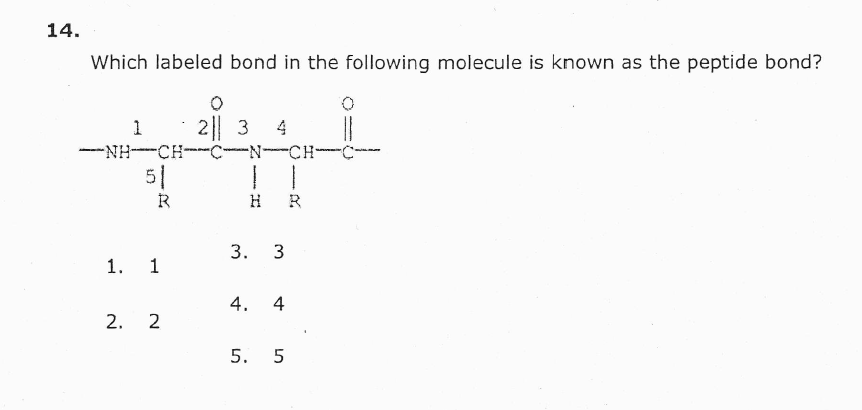 Solved Which labeled bond in the following molecule is known | Chegg.com