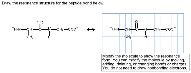 Solved Draw the resonance structure for the peptide bond | Chegg.com