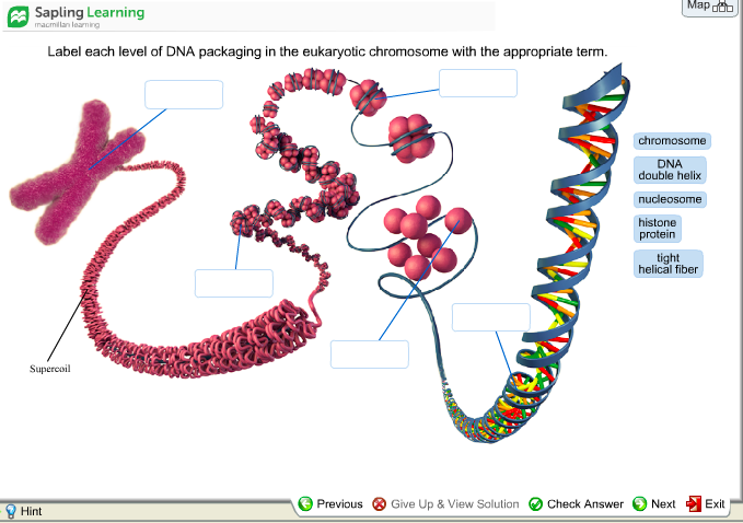Solved: Sapling Learning Macmillan Learning Label Each Lev... | Chegg.com Solved: Sapling Learning Macmillan Learning Label Each Lev... | Chegg.com