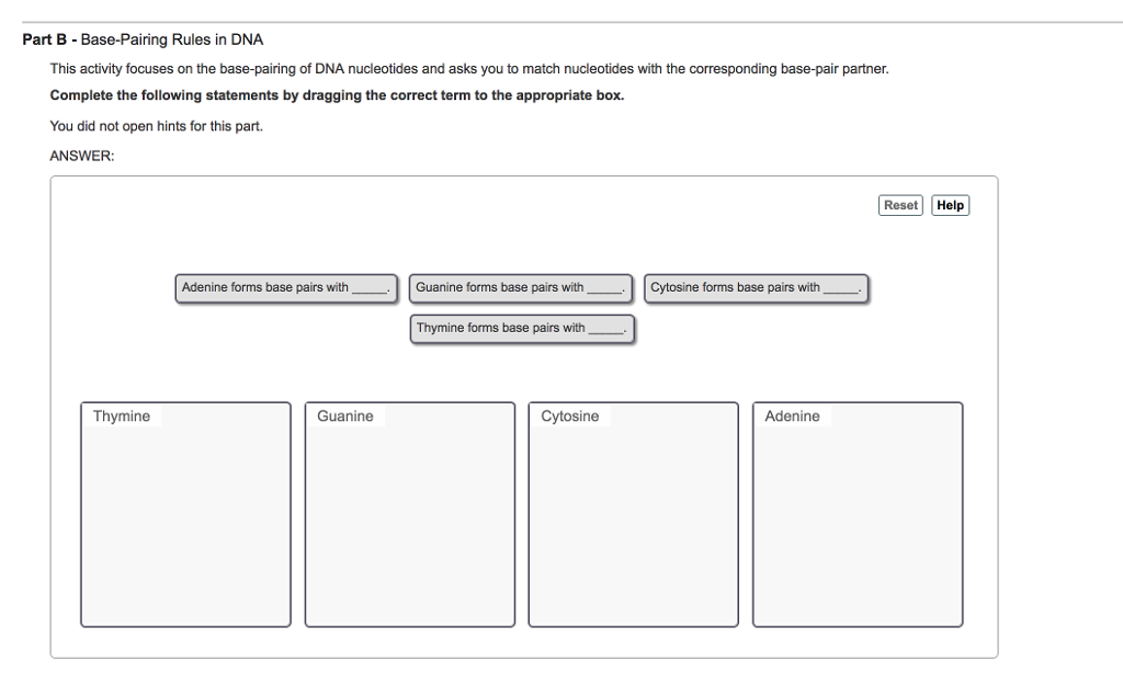 Solved Base-Pairing Rules in DNA This activity focuses on | Chegg.com Solved Base-Pairing Rules in DNA This activity focuses on | Chegg.com