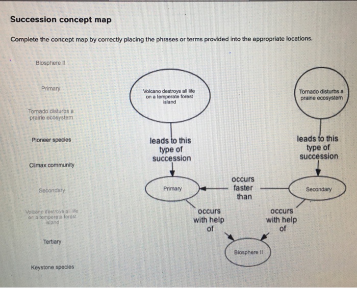 Solved Complete the concept map by correctly placing the | Chegg.com