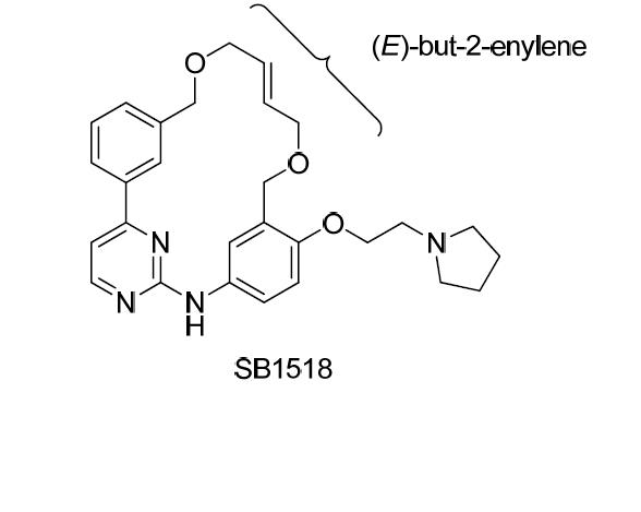 Solved What is the role of the (E)-but-2-enylene group | Chegg.com