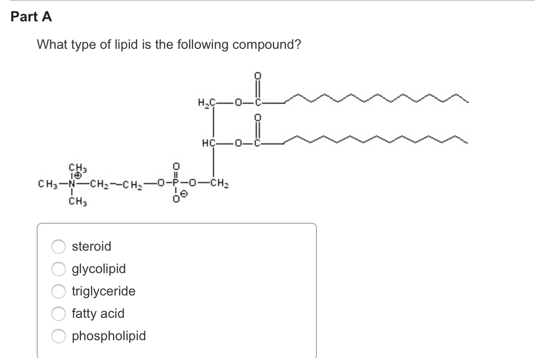 Solved What type of lipid is the following compound? | Chegg.com