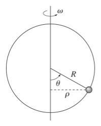 Solved A bead is free to slide along a frictionless hoop of | Chegg.com
