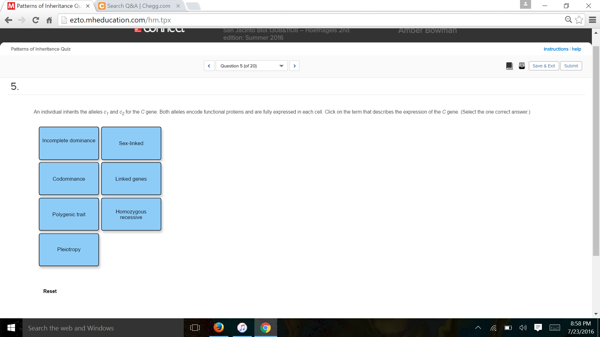Solved An individual inherits the alleles c_1 and c_2 for | Chegg.com