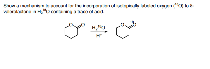 Solved Show a mechanism to account for the incorporation of | Chegg.com