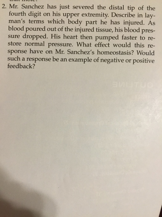 Solved Mr. Sanchez has just severed the distal tip of the | Chegg.com