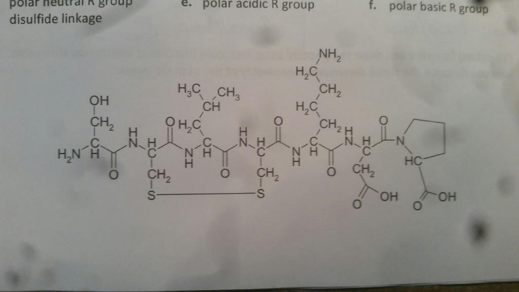 Solved A chemical structure of a short peptide is given | Chegg.com