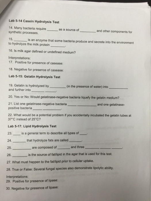 Solved I need help with this questions.. Please help!! | Chegg.com