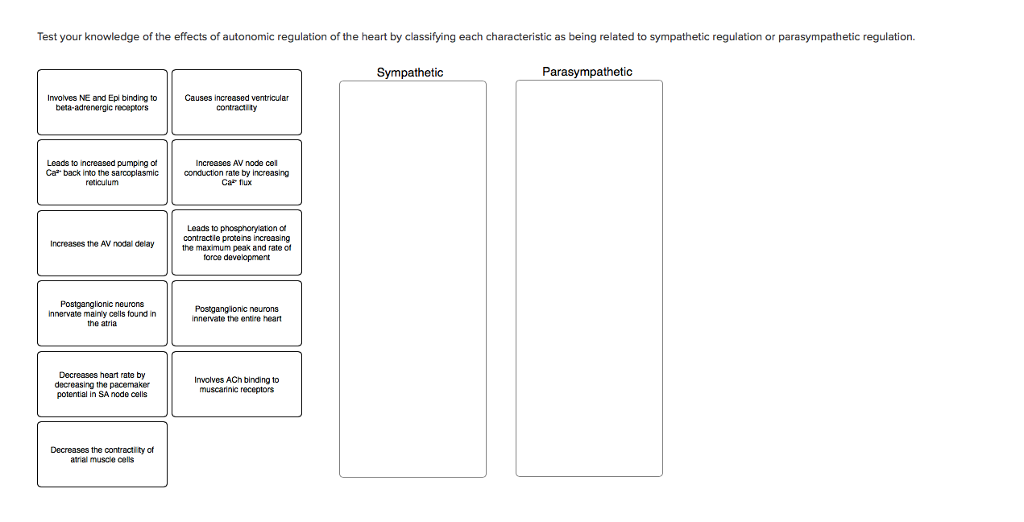 Solved Test your knowledge of the effects of autonomic | Chegg.com