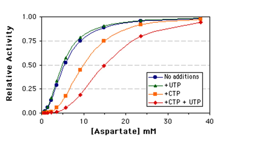 Solved Biochem Question #1 An interesting feature of the | Chegg.com