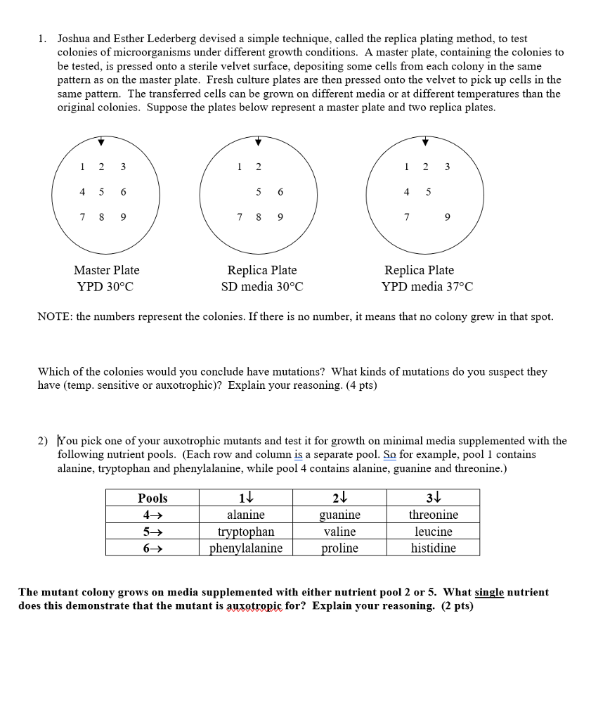 Solved Joshua and Esther Lederberg devised a simple | Chegg.com