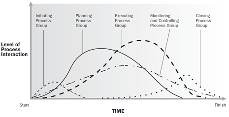 Her Likes This: Project Management Process Interactions Diagram