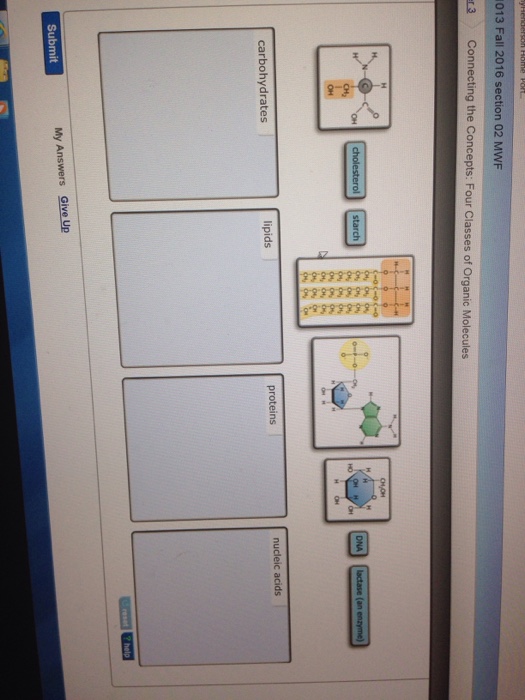 Solved Connecting the Concepts. Four Classes of Organic | Chegg.com Solved Connecting the Concepts. Four Classes of Organic | Chegg.com