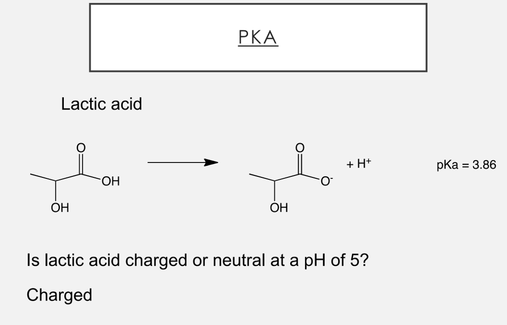 Solved PKA Lactic acid pKa 3.86 он он он Is lactic acid | Chegg.com