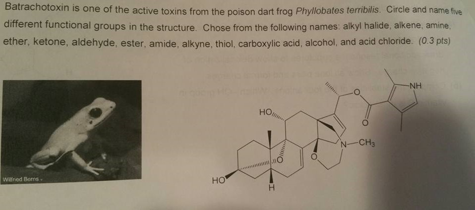 Solved: Circle And Name 5 Functional Groups In Structure S... | Chegg.com Solved: Circle And Name 5 Functional Groups In Structure S... | Chegg.com