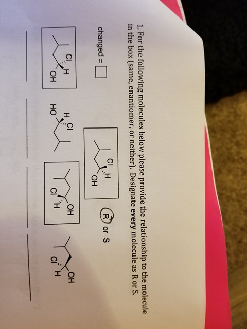 Solved 1. For the following molecules below please provide | Chegg.com