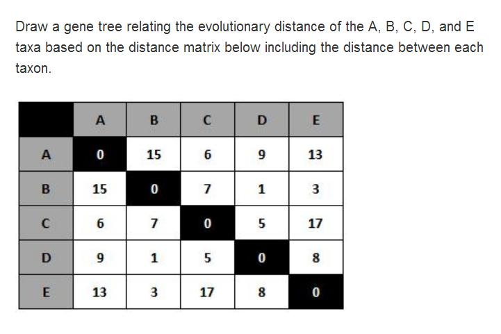 Solved Draw a gene tree relating the evolutionary distance | Chegg.com
