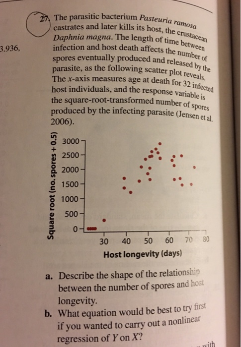 The parasitic bacterium Pasteuria ramosa, castrates | Chegg.com