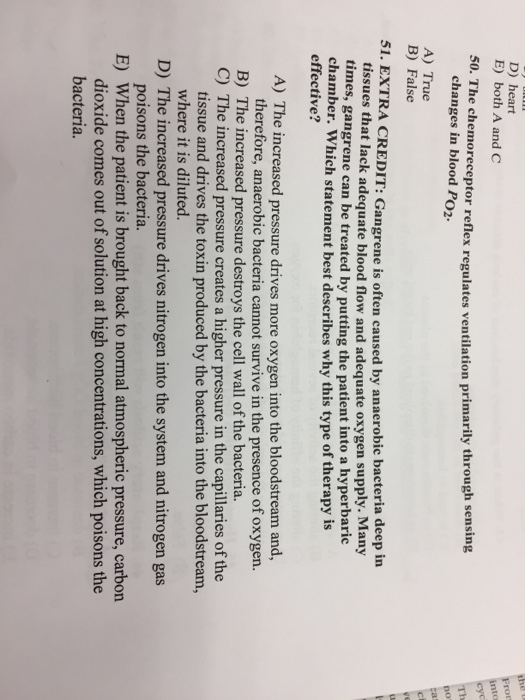 Solved The chemoreceptor reflex regulates ventilation | Chegg.com