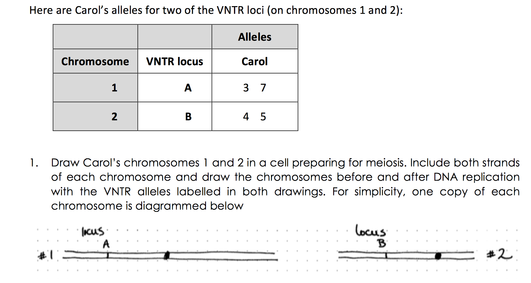 Solved Here are Carol's alleles for two of the VNTR loci. | Chegg.com