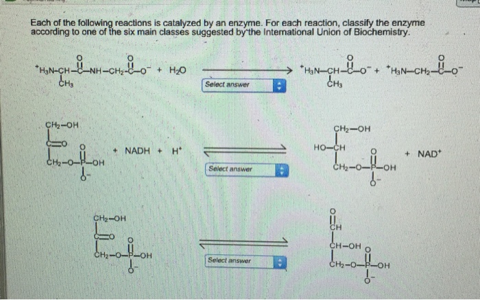 Solved Each of the following reactions is catalyzed by an | Chegg.com