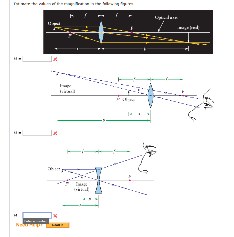 Solved Estimate the values of the magnification in the | Chegg.com