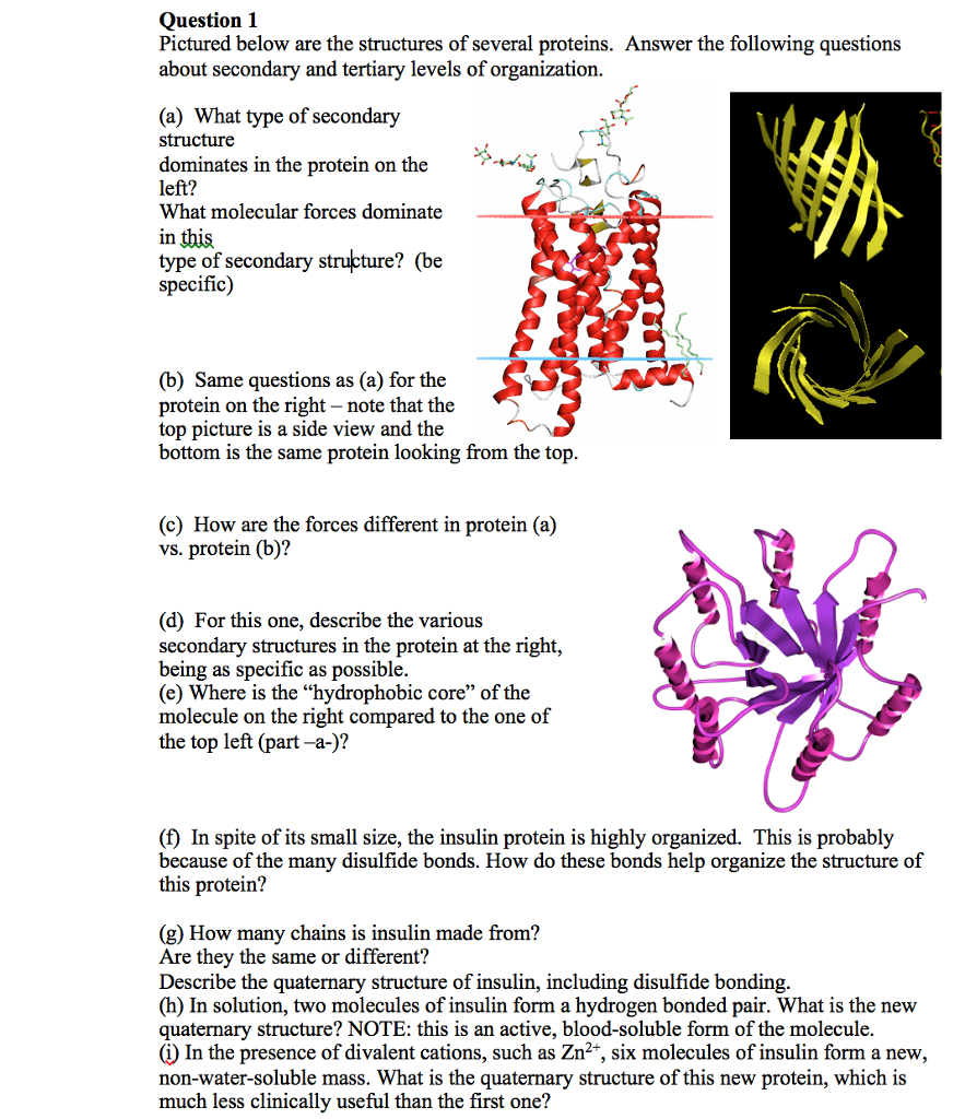 Solved Question 1 Pictured below are the structures of | Chegg.com