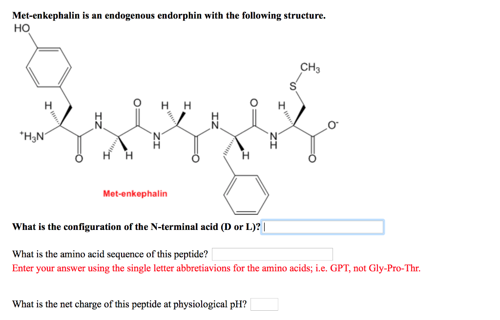 Solved Met-enkephalin is an endogenous endorphin with the | Chegg.com