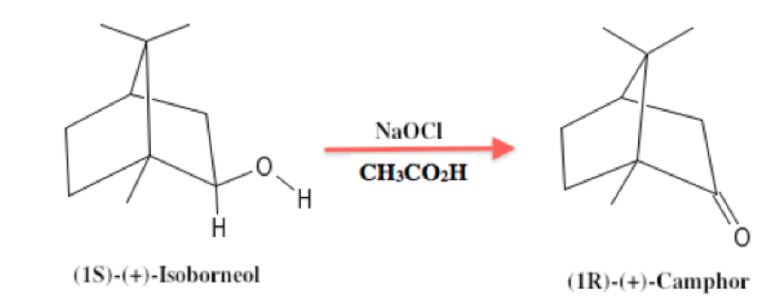 Solved using (S) isoborneal, write the equation for this | Chegg.com