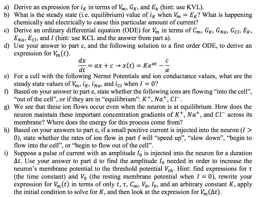 Solved Circuit Model of a Neuron Using the RC Circuit | Chegg.com