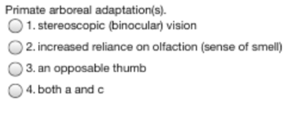 Solved Primate arboreal adaptation(s) 1 . stereoscopic | Chegg.com